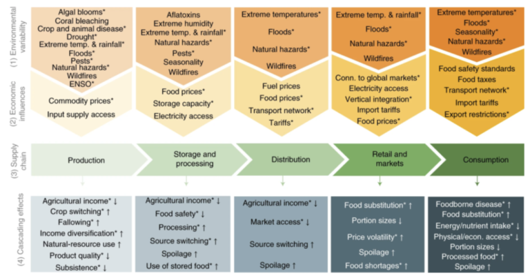 Food Chain Resilience – Current Happenings Across STEM Magazine